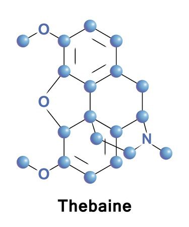 Thebaine Market: Rising Demand and Promising Opportunities