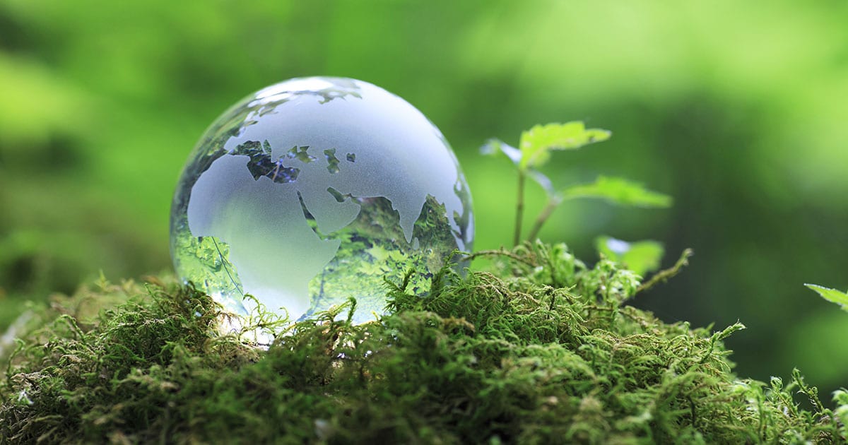 Environmental Silica Market: Exploring the Future Potential