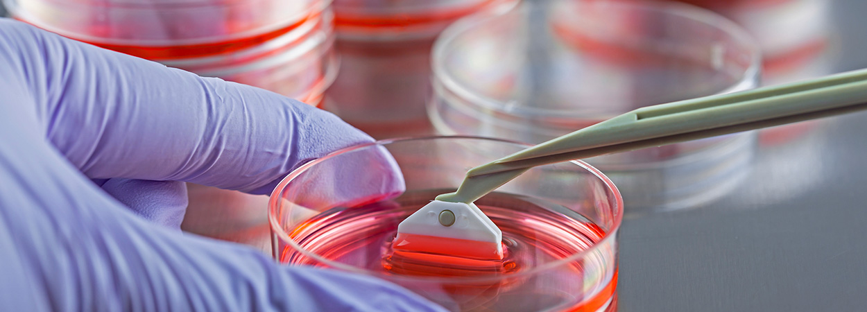 Tissue Engineering Market: Demand for Regenerative Medicine