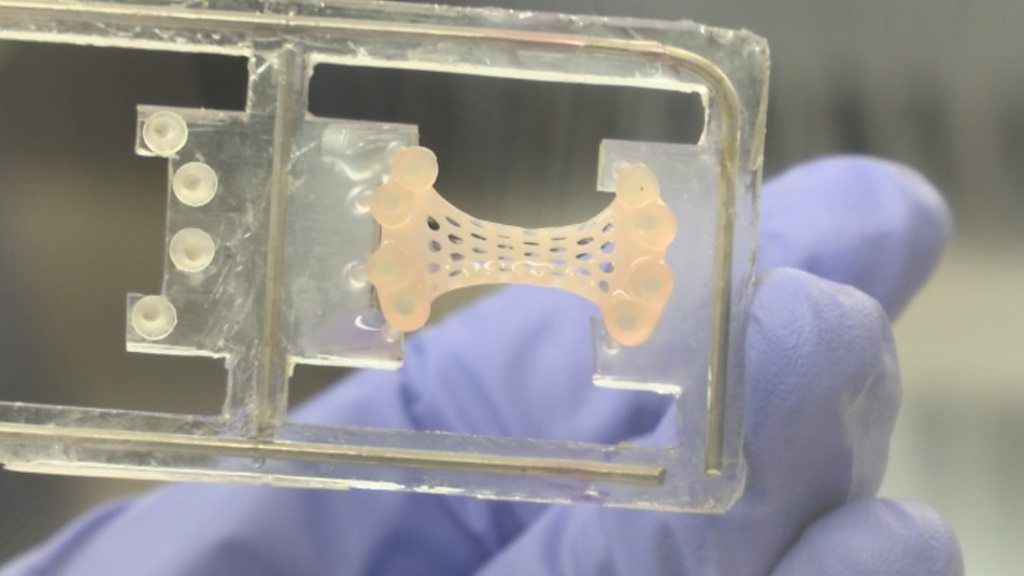 Beating Heart Patch Technology Enhances The Care For Cvd Patients
