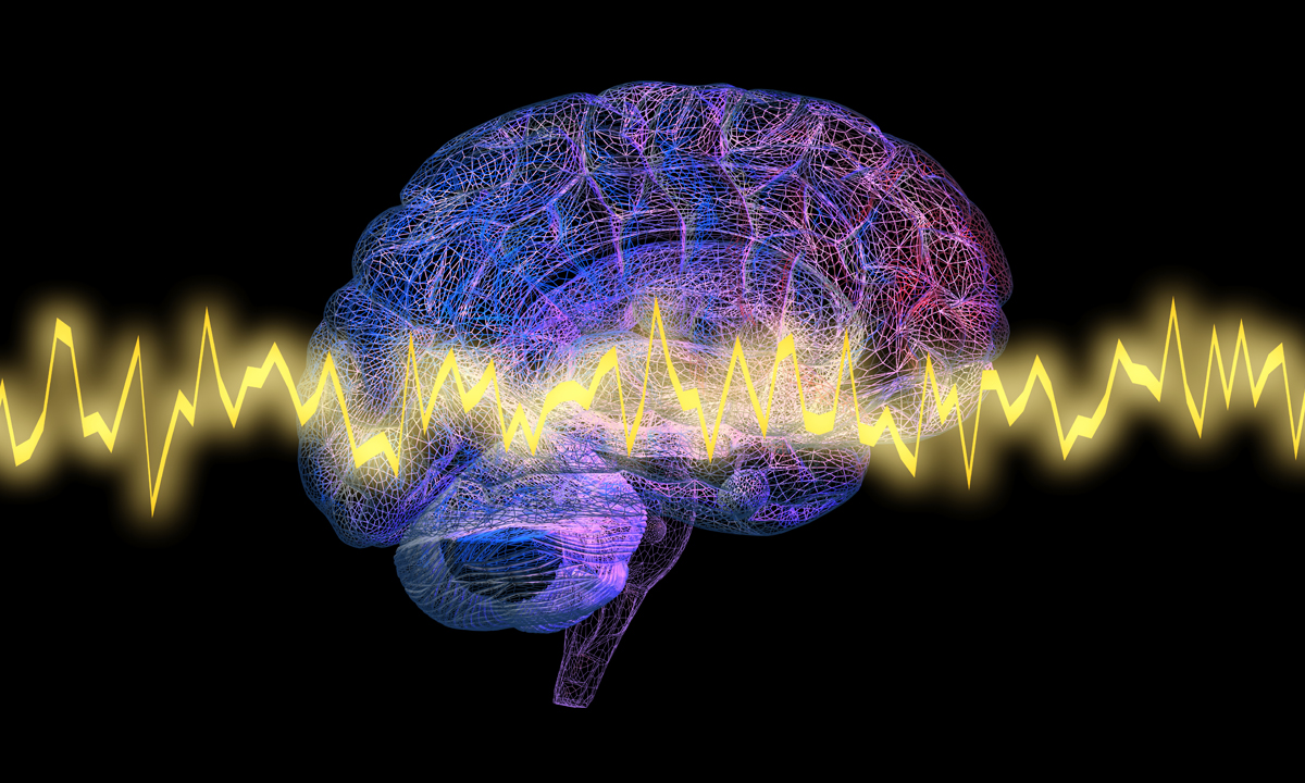 Understanding Brain States and Brain Waves