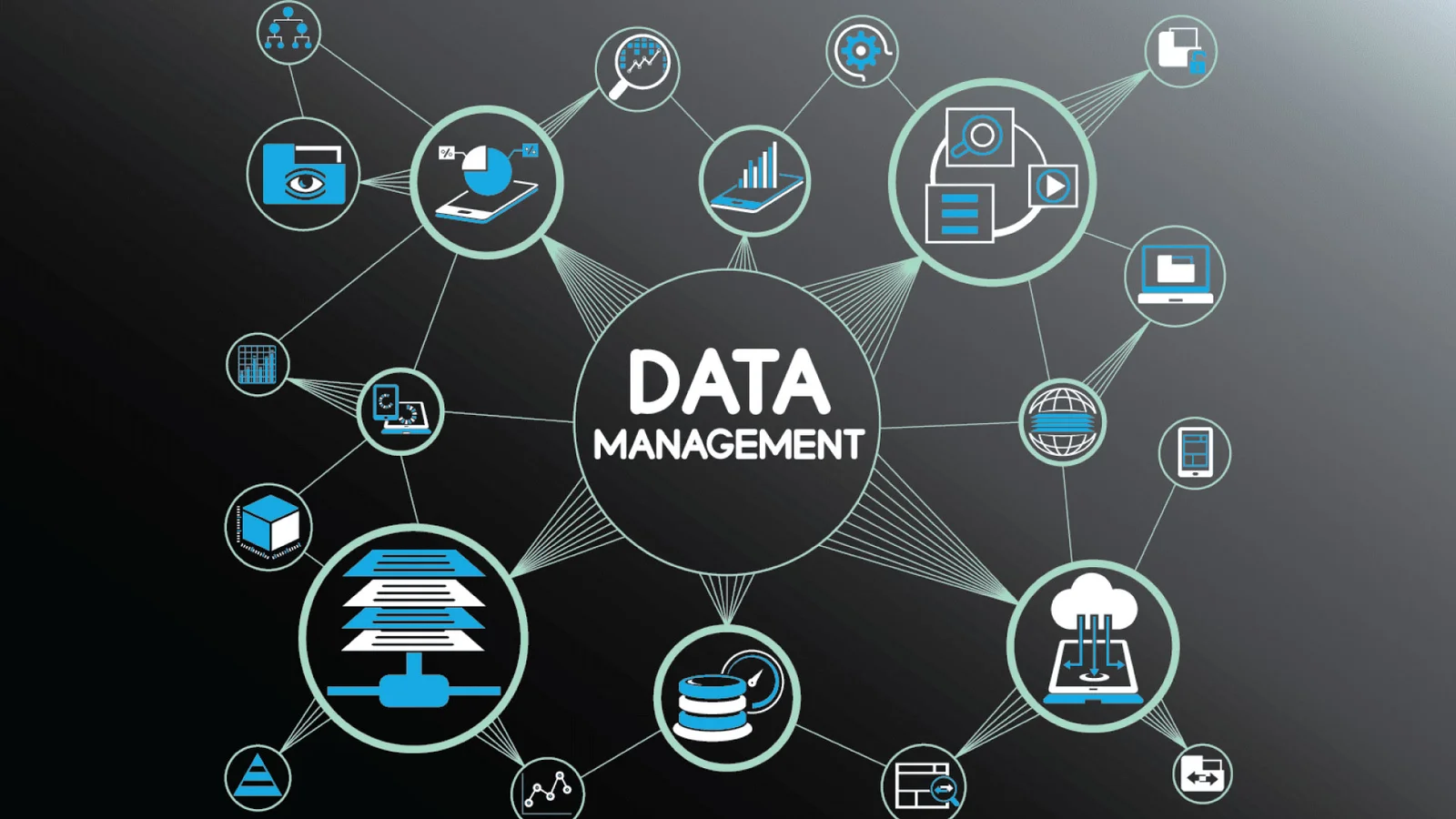 Data Management Advertising Software: Overview