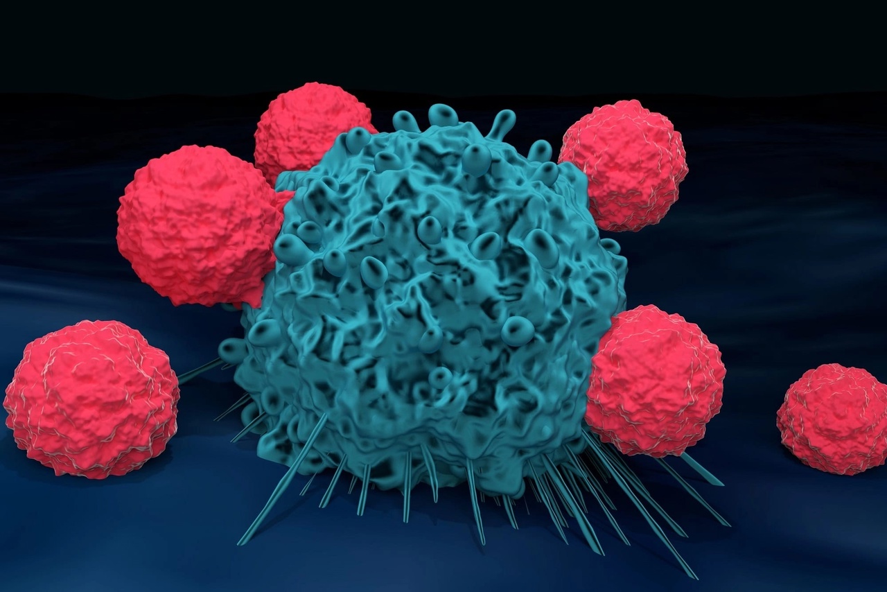 New Discovery Protein VISTA Inhibits T-cell Function in Immunotherapy ...