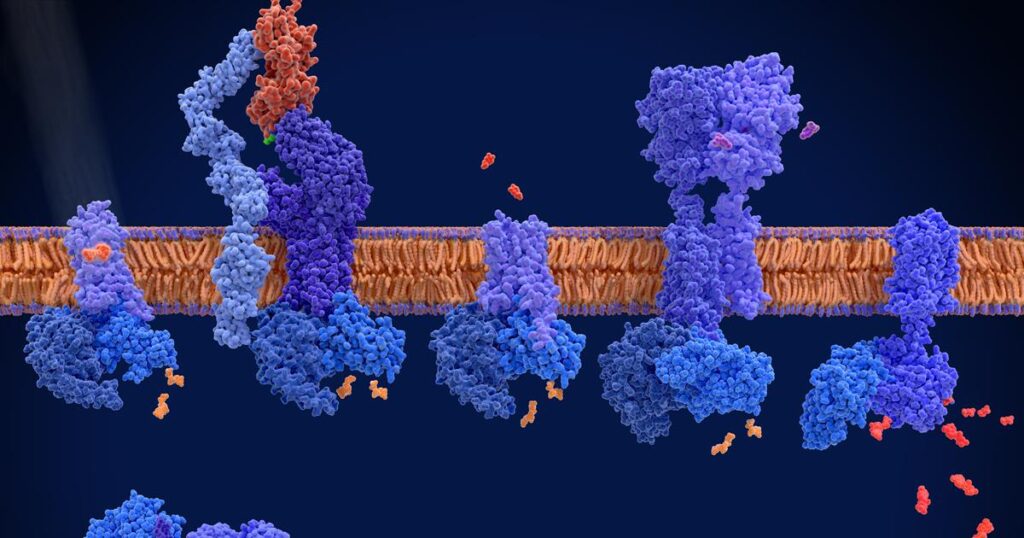 Global DNA Encoded Library: Revolutionizing Chemical Libraries